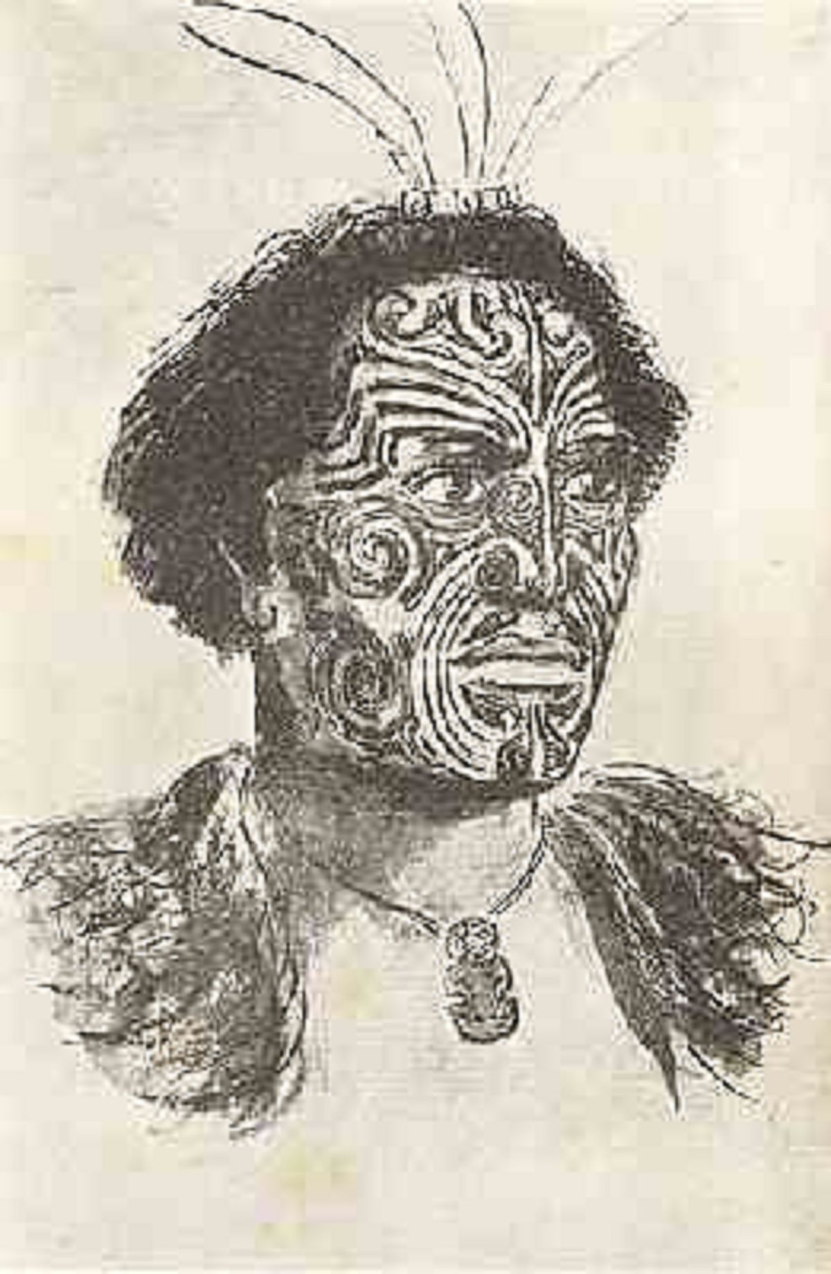 Te Wiki o te Reo Māori 2021 - Trustpower Rāpare Quiz | Take the Quiz ...