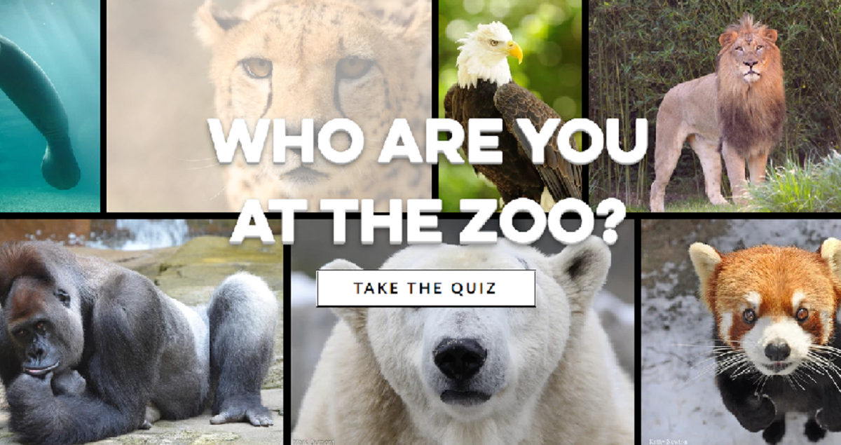 Who Are You at the Zoo? | Take the Quiz | QuizMaker