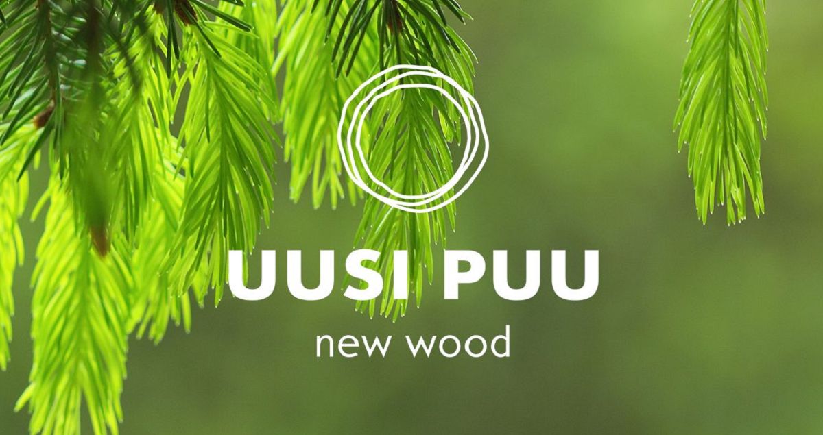 Tervetuloa Uusi puu -visaan! | Take the Quiz | QuizMaker