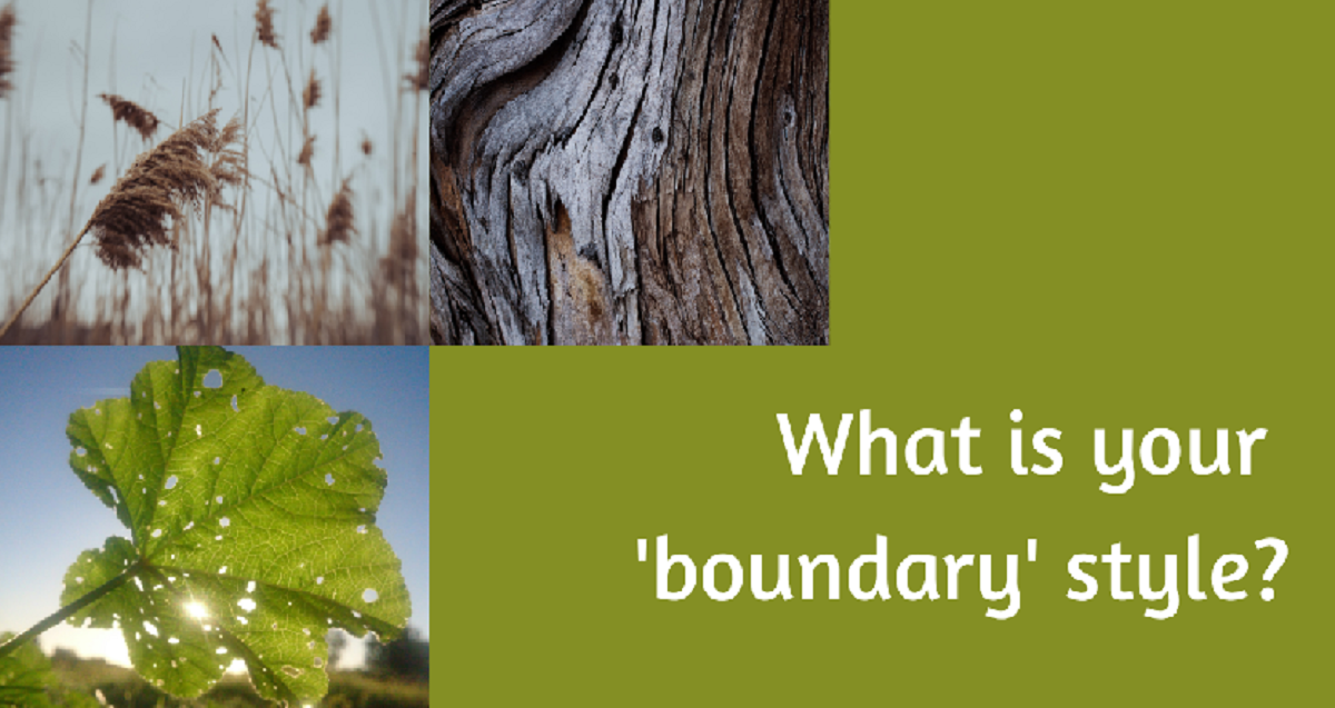 What is Your Boundary Style? The best way to get the most accurate ...