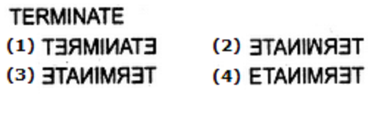 Knowledge Knockout | Take the Quiz | QuizMaker